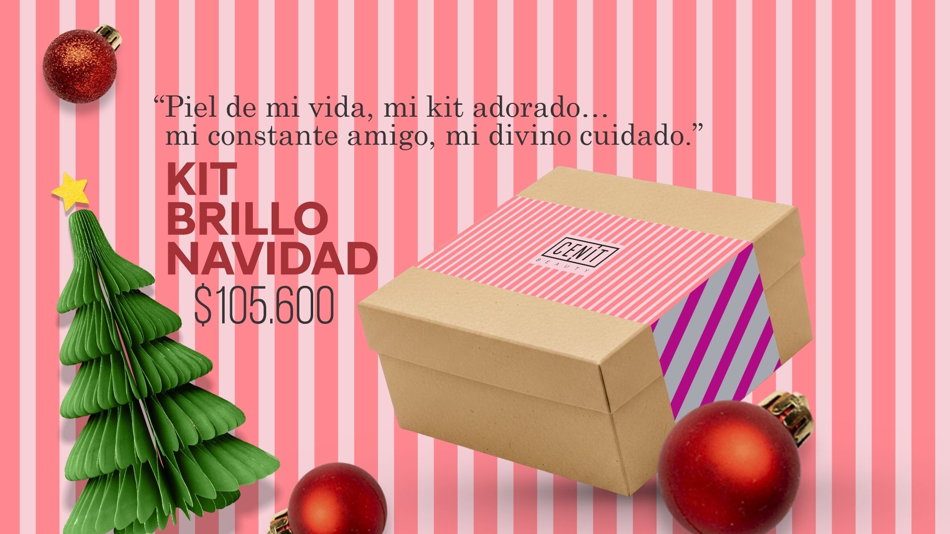 Kits Navideños – CENIT STORE